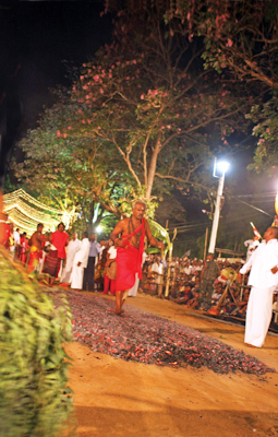 “HARO HARA”: Festival Time In Kataragama - Explore Sri Lanka