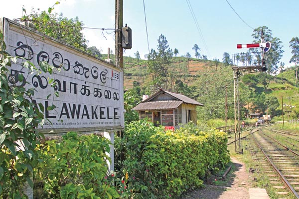 Ascending Talawakele - Explore Sri Lanka