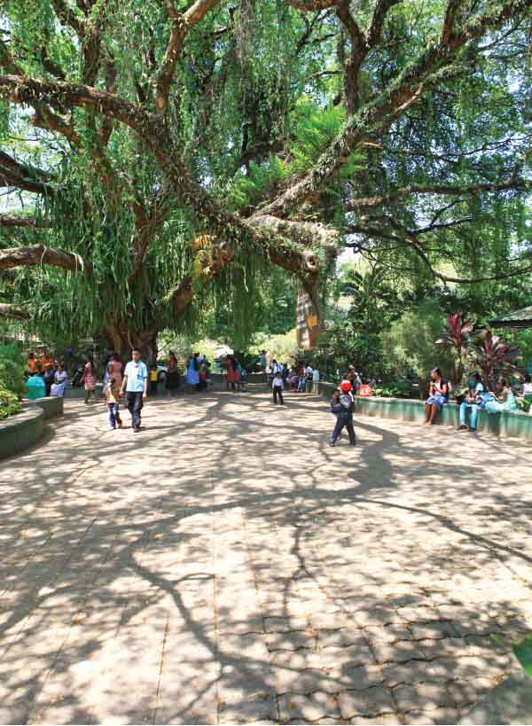 The ‘New’ Colombo Zoo - Explore Sri Lanka