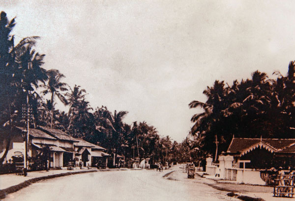 Havelock Town: From rubber plantation to distinctive suburb - Explore ...