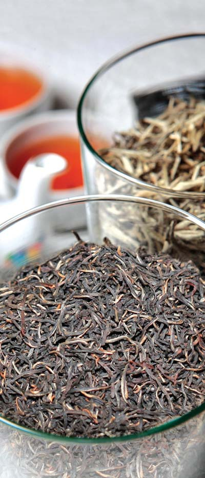 Tea The World’s Green Gold Tea and Health