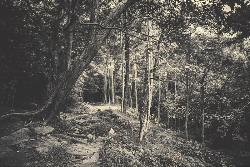 The Mystery of Ritigala - Explore Sri Lanka