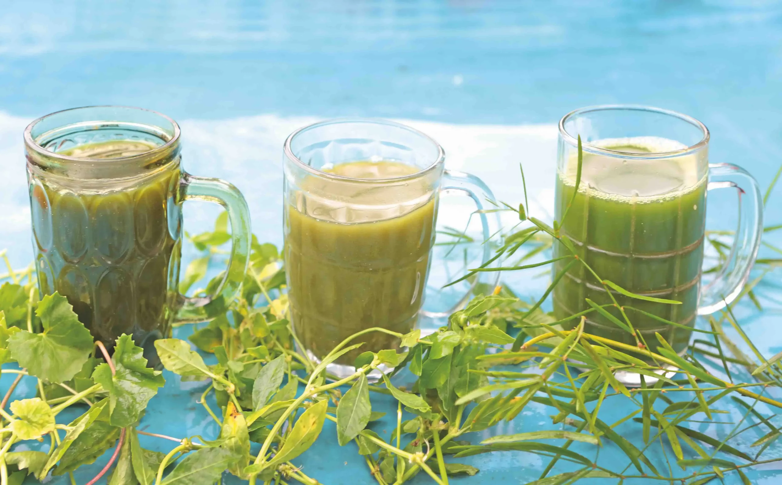 Green Goodness in a Morning Cocktail: Kola Kenda - Explore Sri Lanka