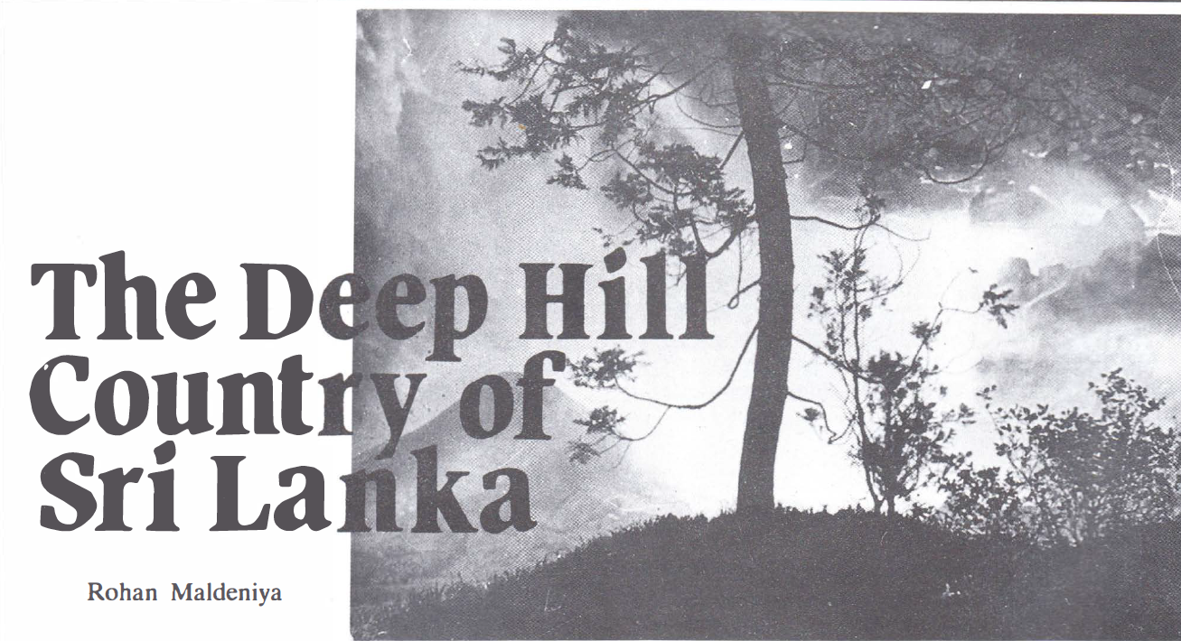 The Deep Hill Country of Sri Lanka - Explore Sri Lanka