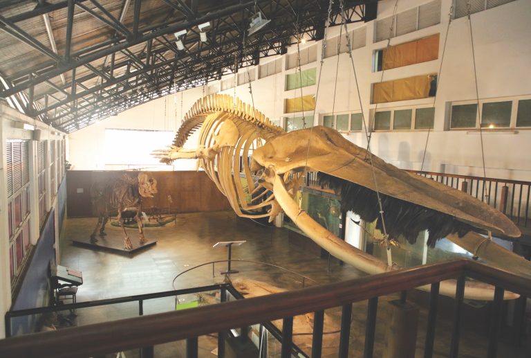 The Colombo National Museum - Explore Sri Lanka